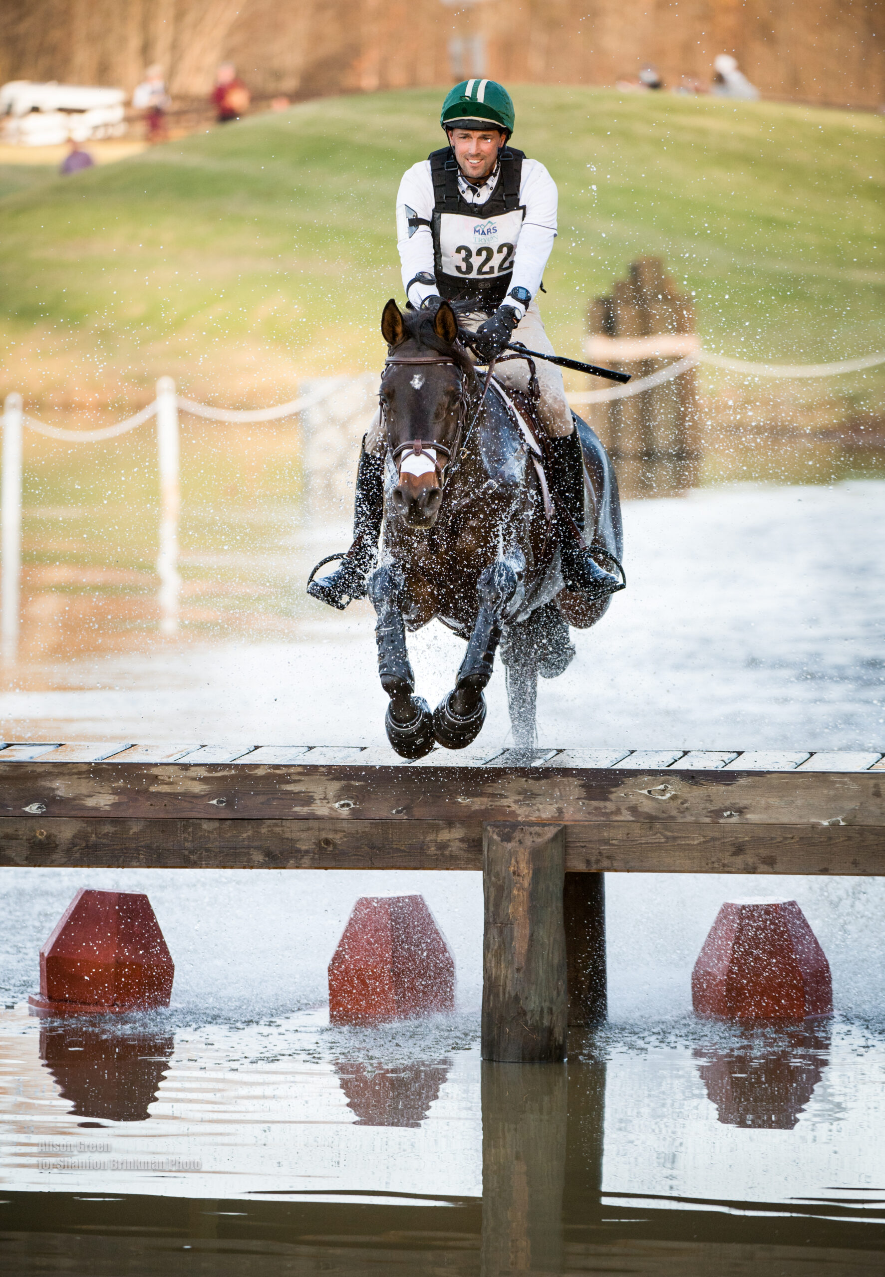 Hyperion Show Jumping - Hyperion Stud